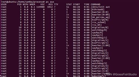 linux系统编程（ps和kill命令） ps aux kill csdn博客