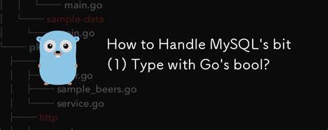 How To Handle Mysqls Bit1 Type With Gos Bool Golang Phpcn