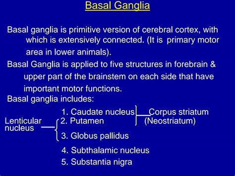 Solution Basal Ganglia Converted Studypool Solution Basal Ganglia Converted Studypool