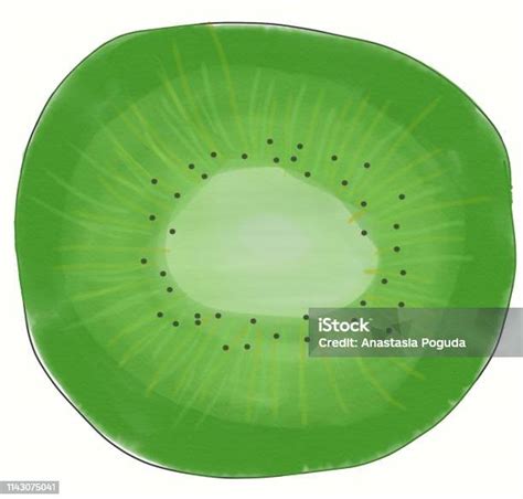 키 위 슬라이스 메뉴 디자인 포스터 카드에 대 한 래스터 그림 스케치 건강한 식생활에 대한 스톡 벡터 아트 및 기타 이미지 건강한 식생활 과일 귀여운 Istock