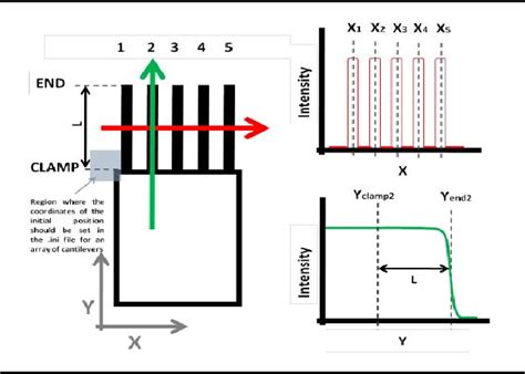 Figure 7 From Microcantilever Based Dual Mode Biosensor For Agricultural Applications Semantic