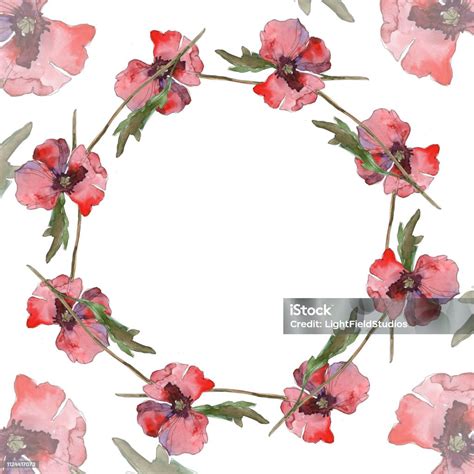 자주색 빨간 양 귀 비 꽃 식물 꽃입니다 수채화 배경 그림 설정 합니다 프레임 테두리 장식 스퀘어입니다 그리기에 대한 스톡 벡터