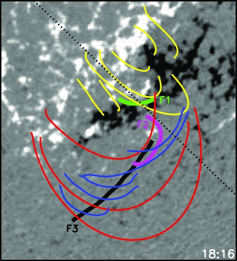 Overlay Of Mdi Magnetogram With The Extrapolated Field Lines Along Download Scientific Diagram