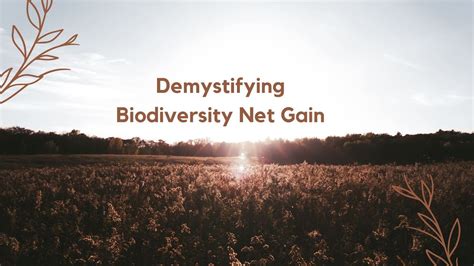 Demystifying Biodiversity Net Gain Netzero Bulletin