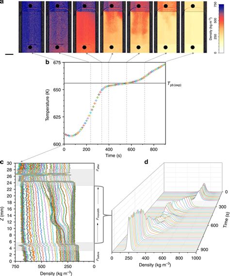 Time Evolution Of The System During Isobaric Heating At 250 Bar A A
