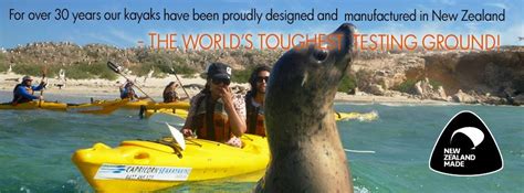 Dynamic Height Solutions Added Dynamic Height Solutions