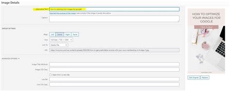 How To Optimize Your Images For Google Ivory Mix
