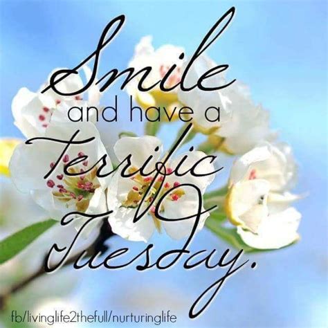 Smile And Have A Terrific Tuesday Quotes