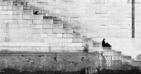 Haim Skyjet On Linkedin Programming Webdevelopment Devops Codingtutorials Technews