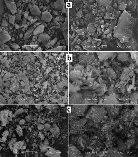 Scanning Electron Micrographs Of A Fe 2 O 3 B Bi 2 O 3 C Download Scientific Diagram