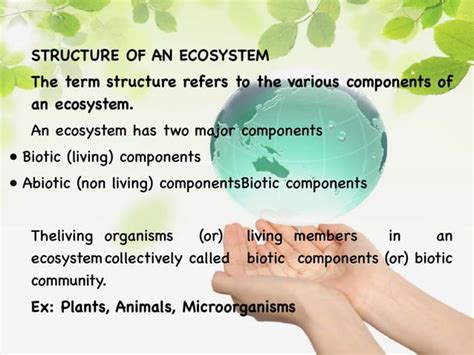 ecosystem ppt ppt