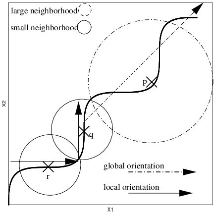 Global Vs Local Orientation Download Scientific Diagram