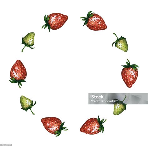 딸기 화환 빨강과 초록색 열매가 있는 둥근 프레임 손으로 그린 수채화 그림 로고 배너 인사말 카드 초대장 또는 메뉴 디자인에 이상적인 템플릿입니다 0명에 대한 스톡 벡터