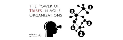 The Power Of Tribes In Agile Organizations
