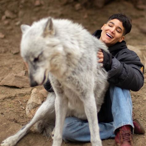 Sofia Cuddle A Wolf Rsofiaboutella