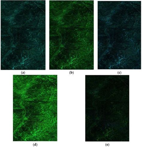 A Two Component Polarimetric Target Decomposition Algorithm With Grassland Application