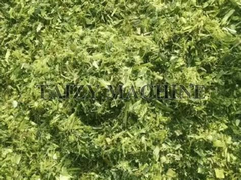 Corn Silage Harvester For Farms In Hilly Areas