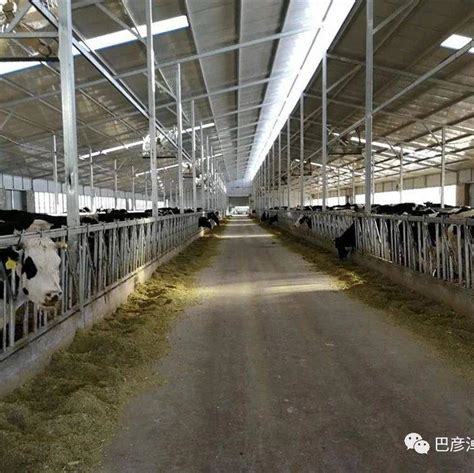 四联四争”创建活动 助力农牧业绿色高质量发展建设