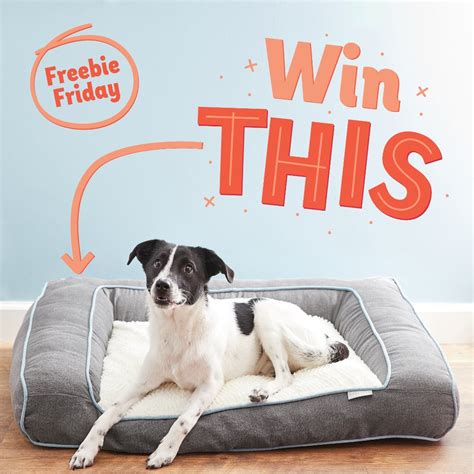 L Meyer Lmeyer Twitter