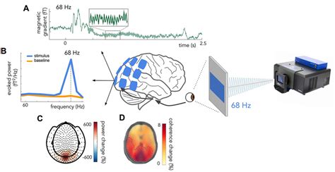 Rift Generates Ssveps In The Brain At The Tagging Frequencies A