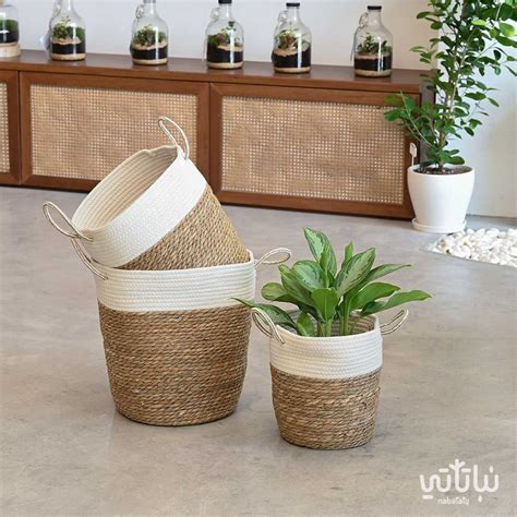 طقم سلال خوص طولي ابيض متجر نباتاتي