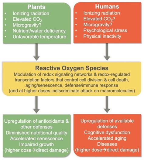 Oxygen An Open Access Journal From MDPI Oxygen An Open Access Journal From MDPI