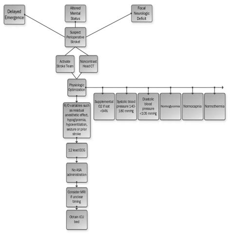 Suggested Treatment Algorithm For Suspected Perioperative Stroke Download Scientific Diagram