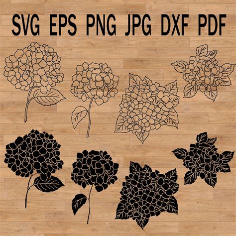 Hydrangea Template Svg Floral Cricut Svg Cut File Garden Svg
