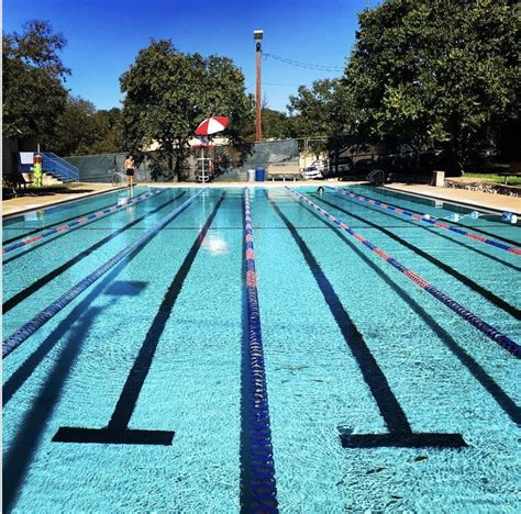 Big Stacy Pool Opens Just In Time For The Season Lap Swimming Austin