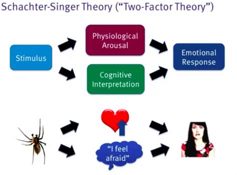 Psyc 300 Exam 2 Flashcards Quizlet