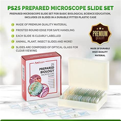 Amscope Ps25p Prepared Microscope Slide Set For Basic Biological Science Education 25 Slides
