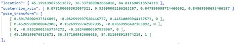 Questions Regarding The Meaning And Usage Of The Sim States In Json Files Of The Synthetic