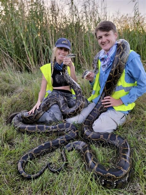 How Science Is Helping Florida Win The War Against Invasive Pythons