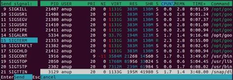 How To Install And Use Htop On Ubuntu Linux Start