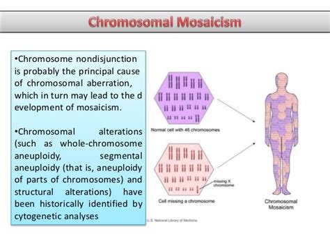 genome mosaicism