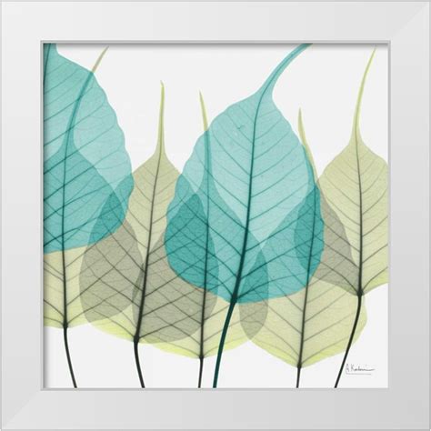 Koetsier Albert 26x26 White Modern Wood Framed Museum Art Print Titled Bodhi Tree