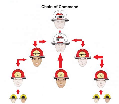 Unity Of Command Principle Meaning Example Advantages