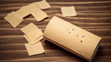 접힌 종이 배경 일러스트 접힌 종이 사진 및 배경 화면 무료 다운로드 Pngtree