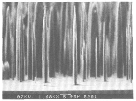 Figure 1 From The Black Silicon Method A Universal Method For Determining The Parameter Setting