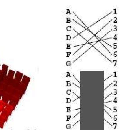 Occlusion Percentage Download Scientific Diagram