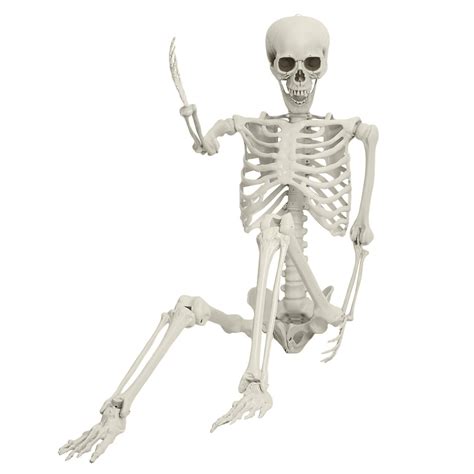 54ft Poseable Skeleton Prop Life Size Plastic Halloween Human Bones