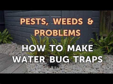 How To Make Water Bug Traps Youtube