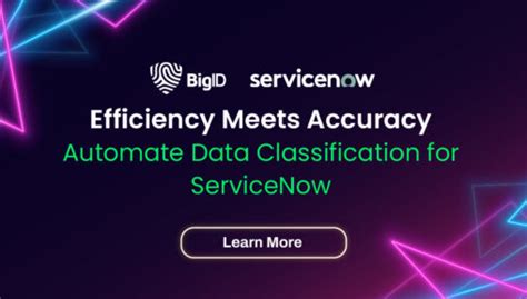 customizable ml driven data classification bigid