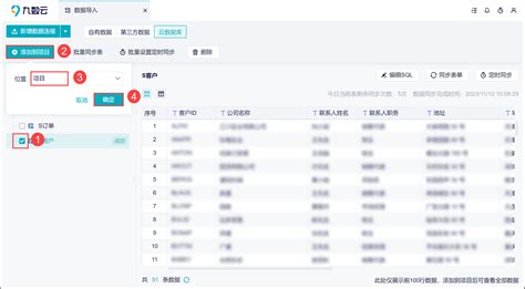 Postgresql 数据连接 九数云帮助文档