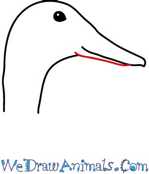 How To Draw A Duck Face