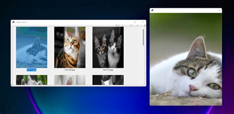 Github Joesatriani10 Thumbnailviewer A Simple C Thumbnail Viewer To