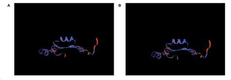 Protein Structure Of Staphylococcus Aureus Meca Gene A Cat 1 And Download Scientific