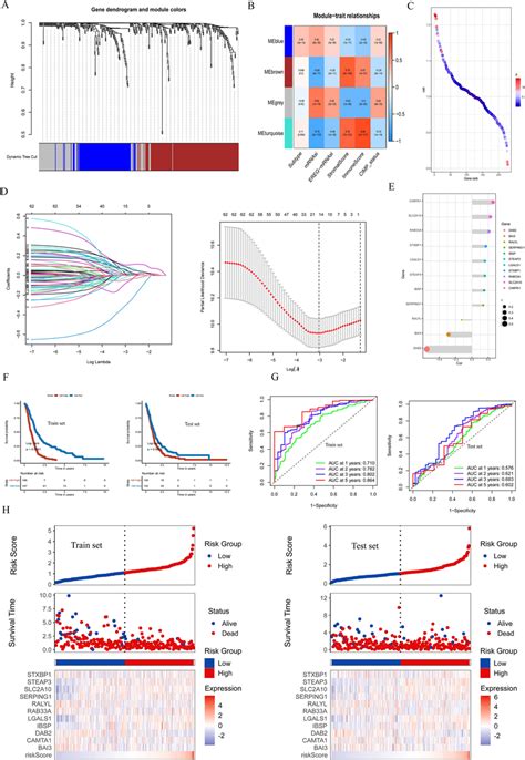Constructing Risk Score Models A Weighted Gene Co Expression Network