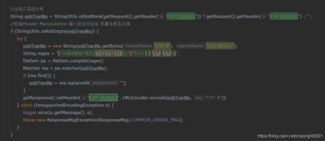 header manipulation 漏洞 csdn博客