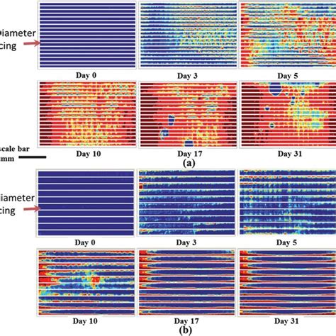 Optical Density Measurements Of Bacteria Solution In Actively Aerated Download Scientific